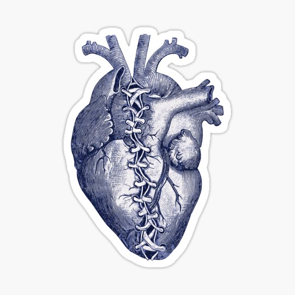 "Blue Broken heart, human heart illustration art, with laces, tied ...