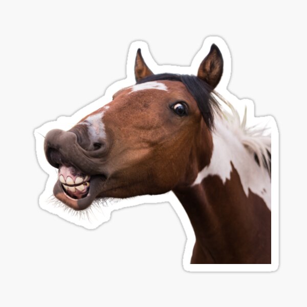 "funny horse sticker" Sticker for Sale by pineapplepop1 | Redbubble