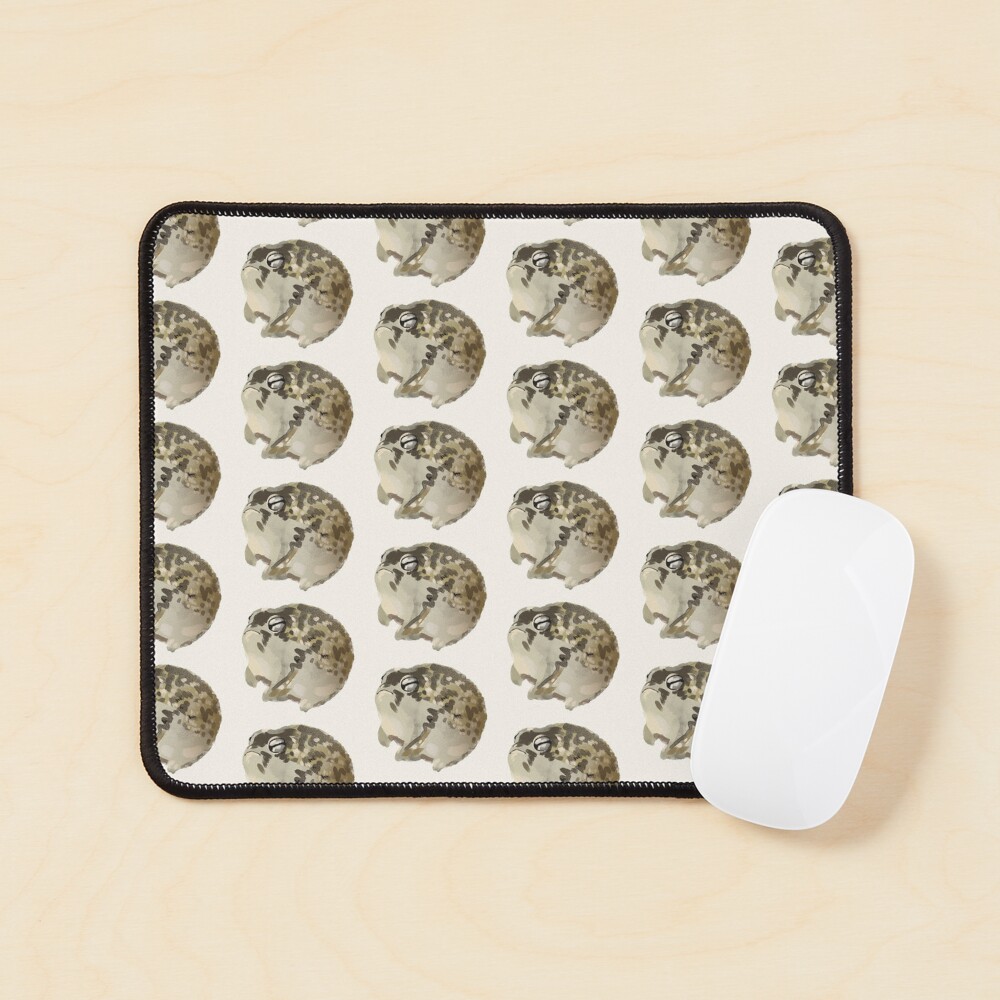 "Nugget Frog - Desert Rain Frog" Sticker for Sale by RumpledCrow ...