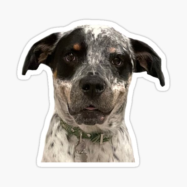 "Baloo!" Sticker by jacobhamilton42 | Redbubble