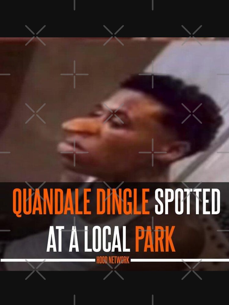 "Quandale Dingle Spotted At A Local Park" T-shirt by Lookaz | Redbubble ...