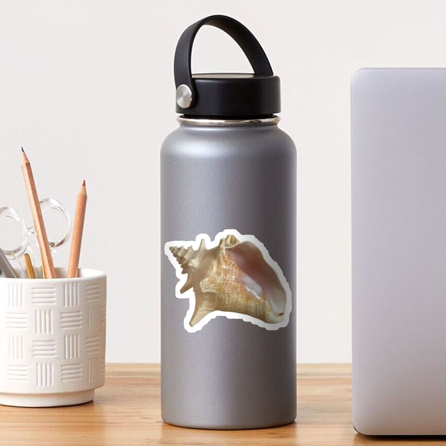 "conch shell" Sticker by tulsajesusfreak | Redbubble