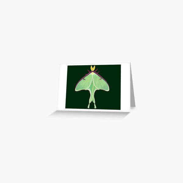 "Luna Moth's Don't Have a Digestive System" Greeting Card by ...