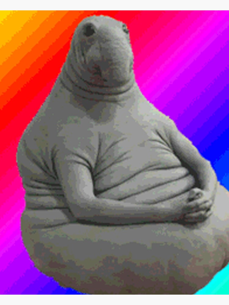 "Zhdun" Sticker for Sale by rarefreedom | Redbubble