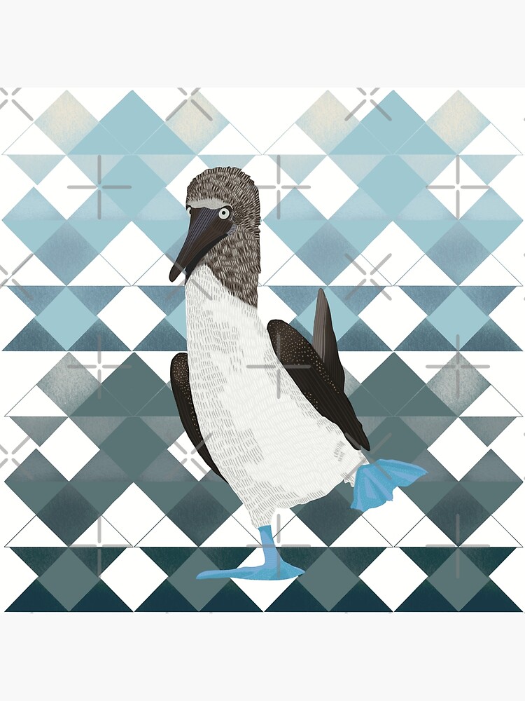 "Adorable blue footed booby bird on an ombre teal pattern background ...