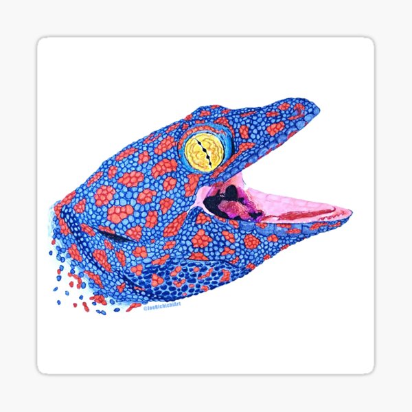 "Tokay Gecko" Sticker by Artworkbyjoe | Redbubble