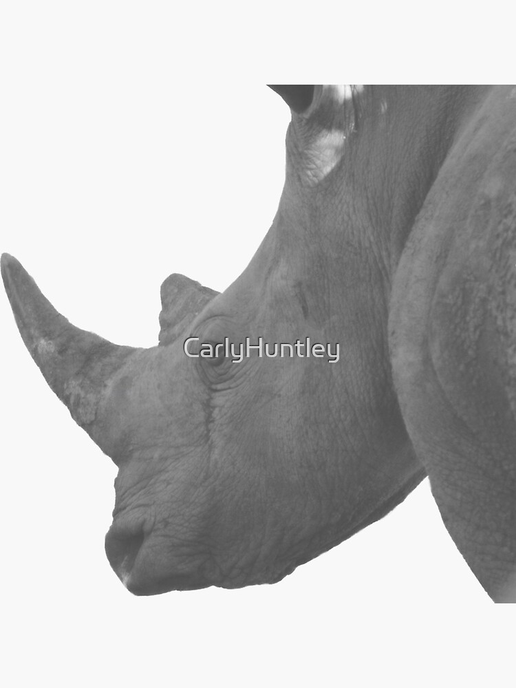 "Rhino side profile head shot" Sticker by CarlyHuntley | Redbubble