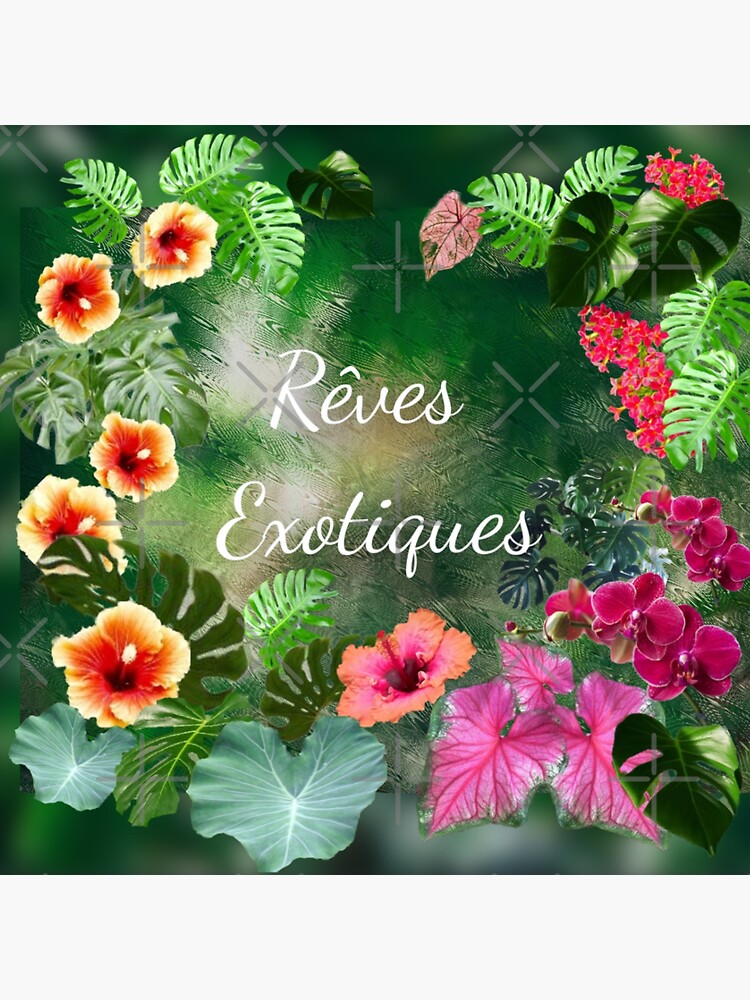 "Exotic dreams" Sticker for Sale by VeroLeHa | Redbubble