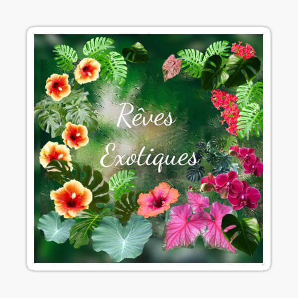 "Exotic dreams" Sticker for Sale by VeroLeHa | Redbubble
