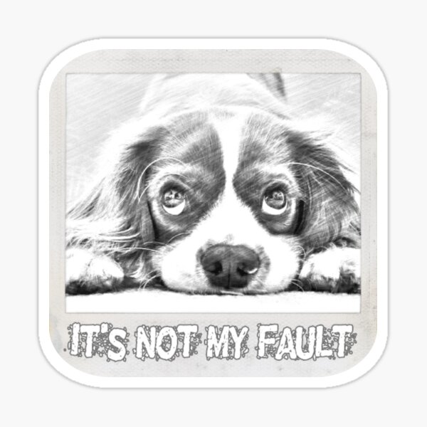 "Not my fault" Sticker for Sale by K-th | Redbubble