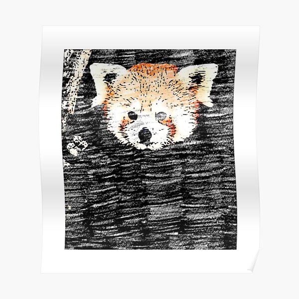 "Save the red panda; Endangered red panda" Poster by parayonline ...