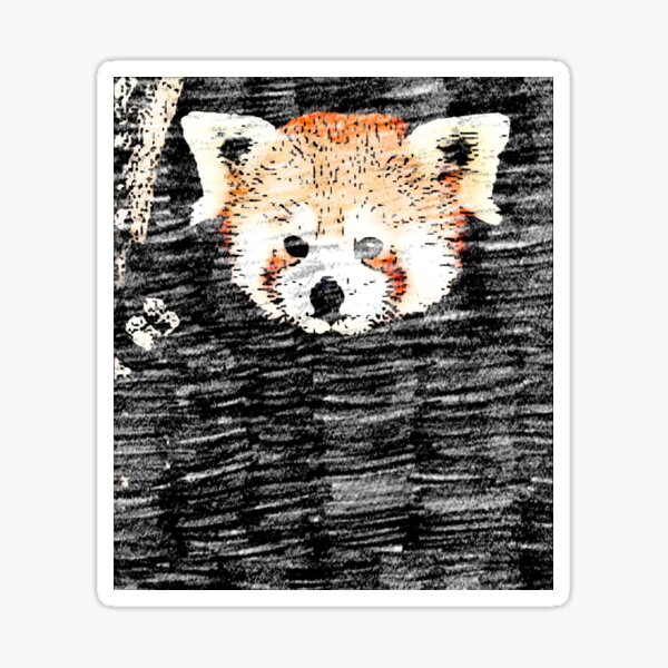 "Save the red panda; Endangered red panda" Sticker by parayonline ...