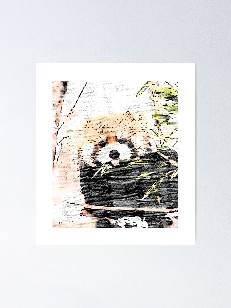 "Save the red panda; Endangered red panda" Poster by parayonline ...