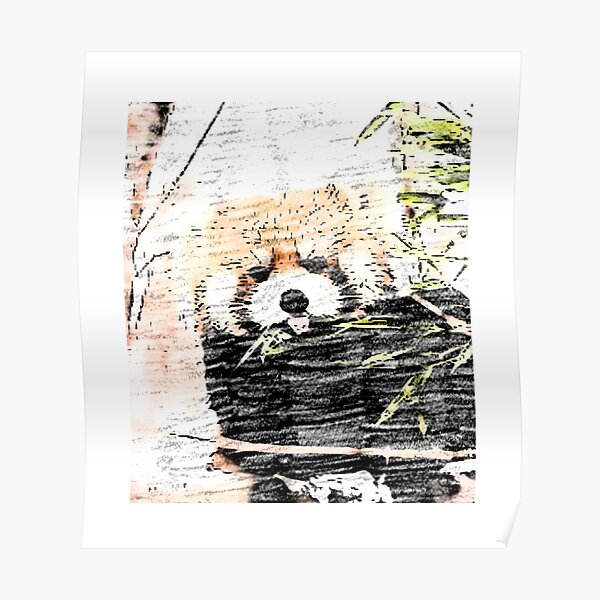 "Save the red panda; Endangered red panda" Poster by parayonline ...