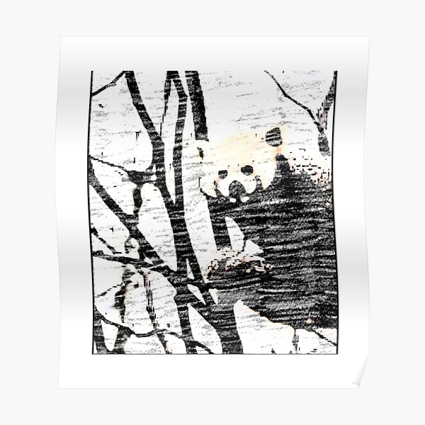 "Save the red panda; Endangered red panda" Poster by parayonline ...