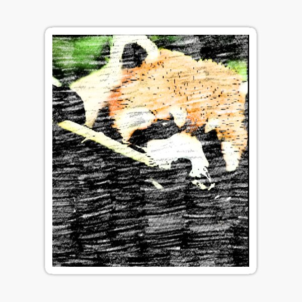 "Save the red panda; Endangered red panda" Sticker for Sale by ...