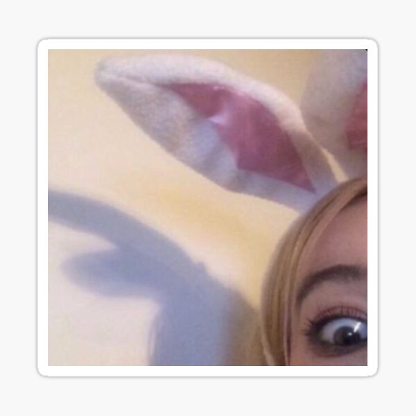 "bunny mars argo" Sticker for Sale by sdgf7328fwhf38u | Redbubble