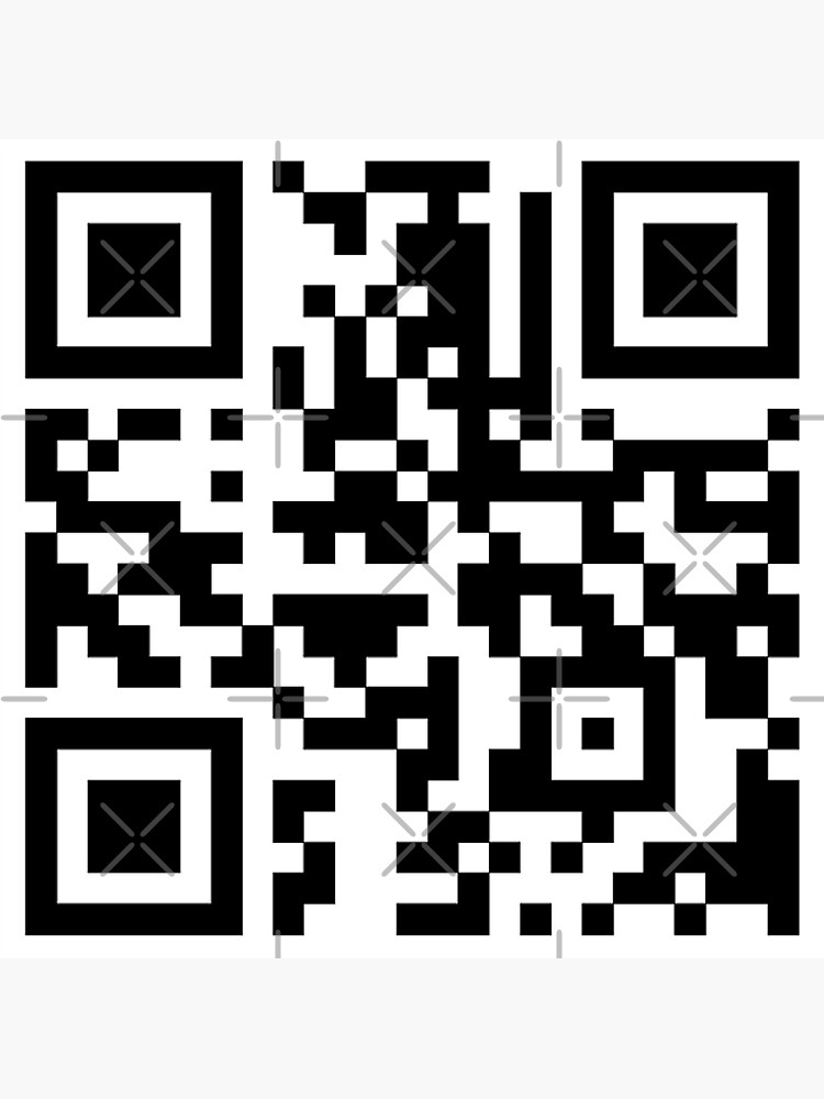 "Bouncing Cats QR Code" Sticker for Sale by Paige Rodgers | Redbubble