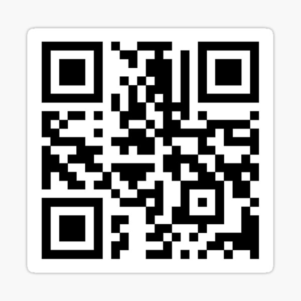 "Bouncing Cats QR Code" Sticker for Sale by Paige Rodgers | Redbubble