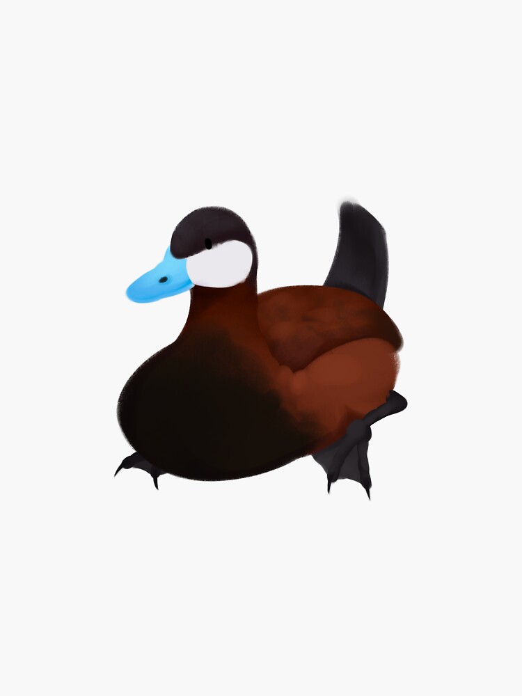 "ruddy duck" Sticker by noooodledog | Redbubble