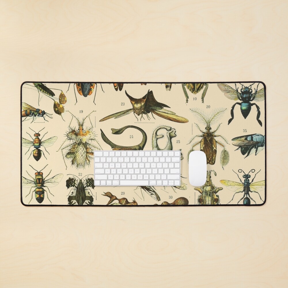 "Insects Vintage Bug Chart" Poster for Sale by ind3finite | Redbubble