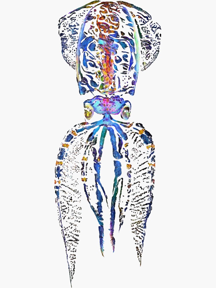 "Diamond Squid" Sticker for Sale by Fresh-Beans-Art | Redbubble