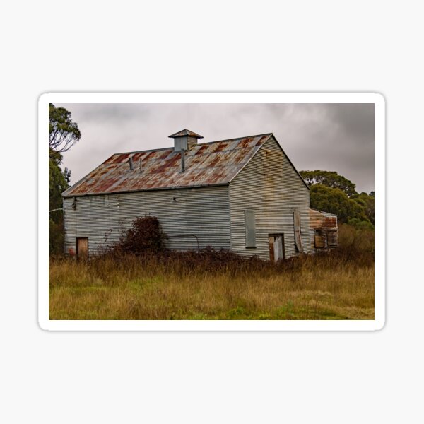 "Side of abandoned run down tin shed rusting and decaying in a field ...