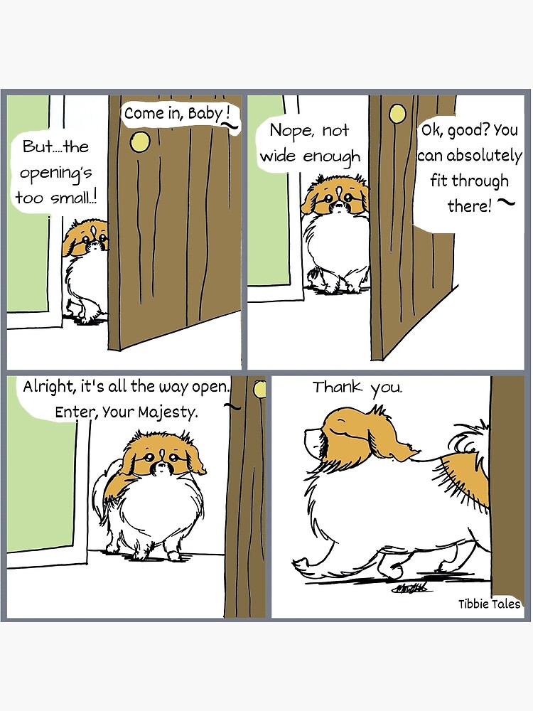 Lámina fotográfica «Historieta divertida y verdadera de Tibbie Tales ...