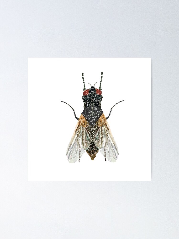 "Bedazzled House Fly / transparent background" Poster by Feralcoot ...
