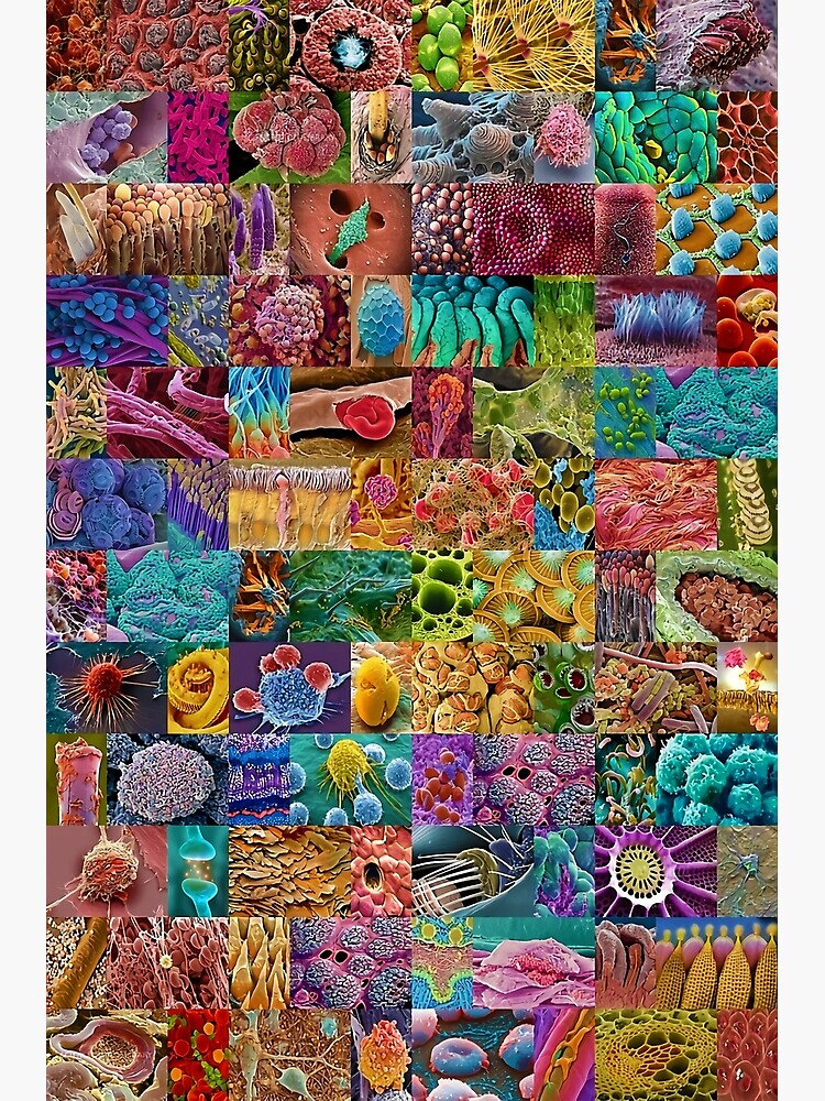 A Collage of Electron Microscope Premium Matte Vertical Poster sold by ...
