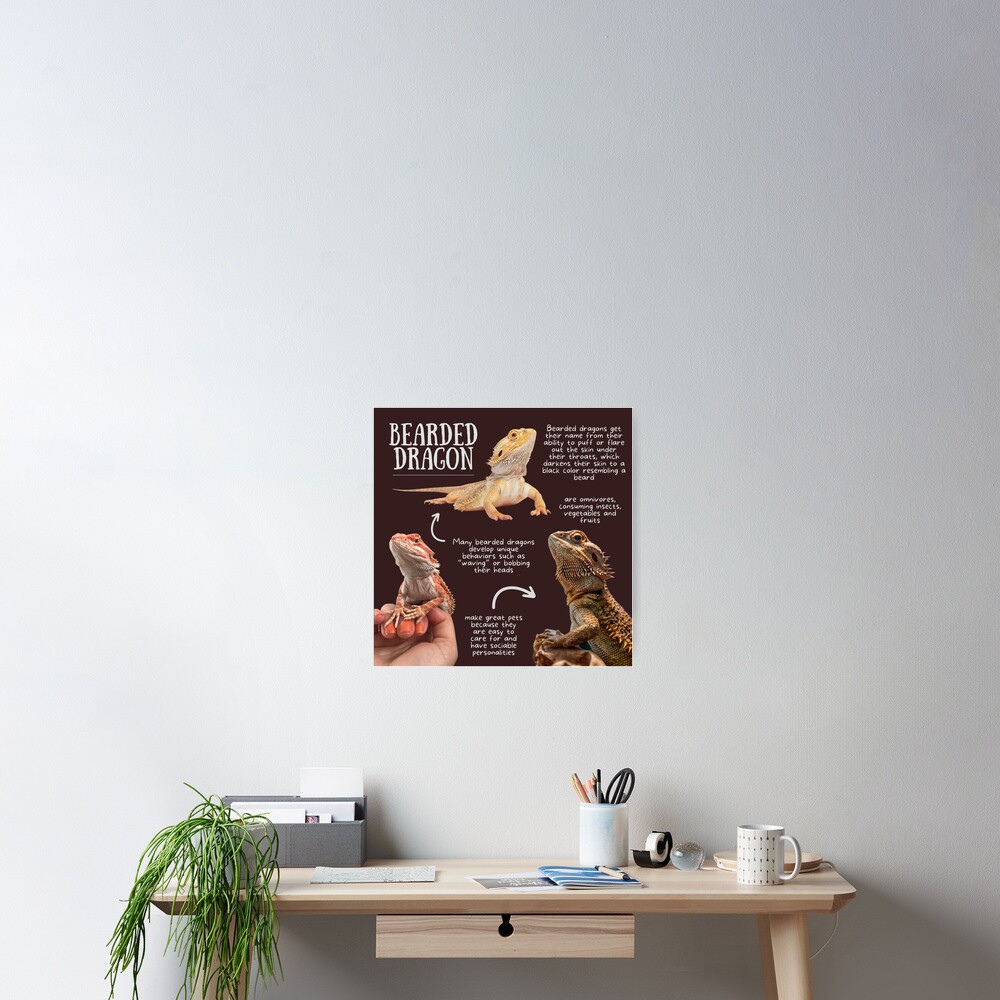 "Bearded Dragon Fun Facts" Poster for Sale by KyleNesas | Redbubble