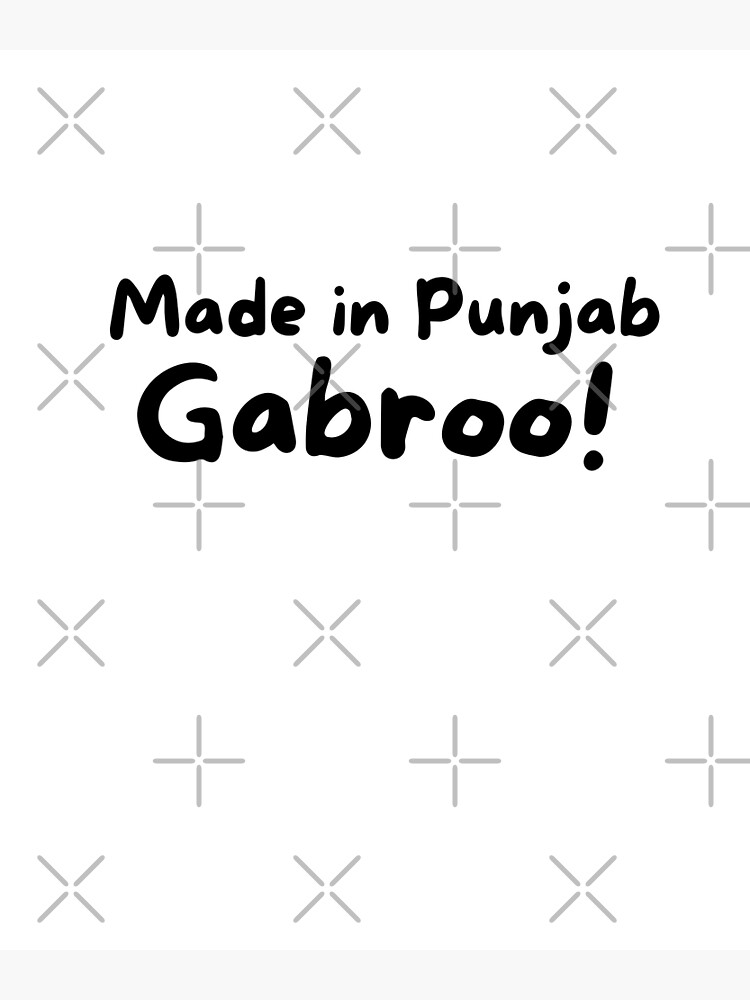 "Made In Punjab Gabroo | Funny Punjabi Phrases | Gift Ideas For Punjabi ...