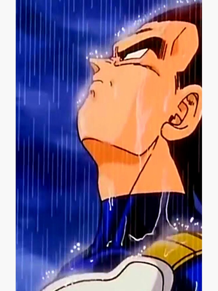 "Vegeta in the Rain (2) iPhone Case" Sticker by beatricewsd | Redbubble