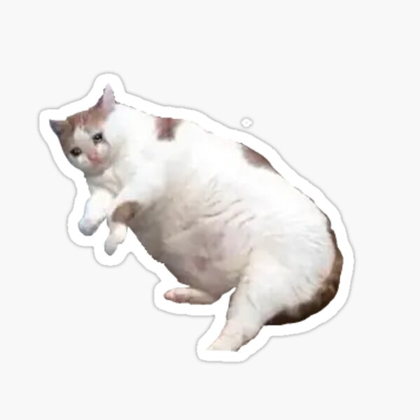 "Stretched Sad Fat Cat" Sticker by ADRIhg | Redbubble