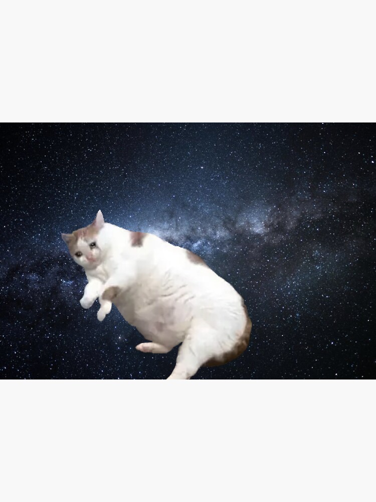 "Sad fat cat stretched out in space" Sticker for Sale by ADRIhg | Redbubble