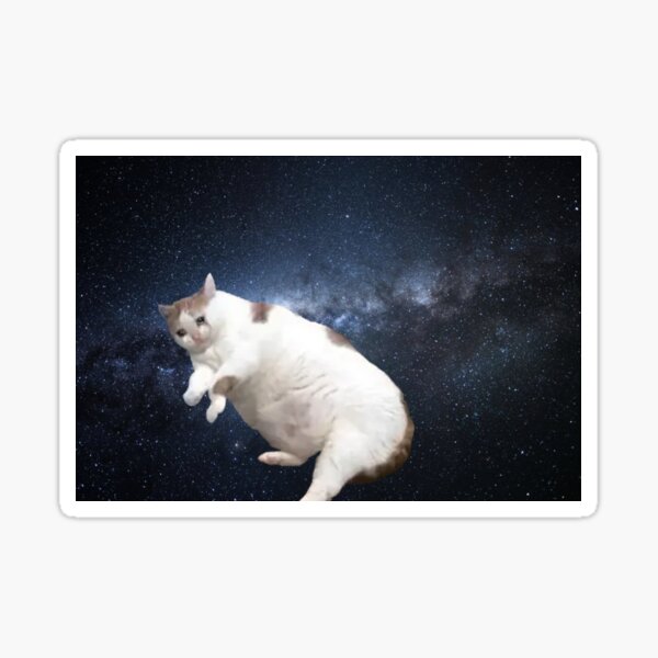 "Sad fat cat stretched out in space" Sticker for Sale by ADRIhg | Redbubble