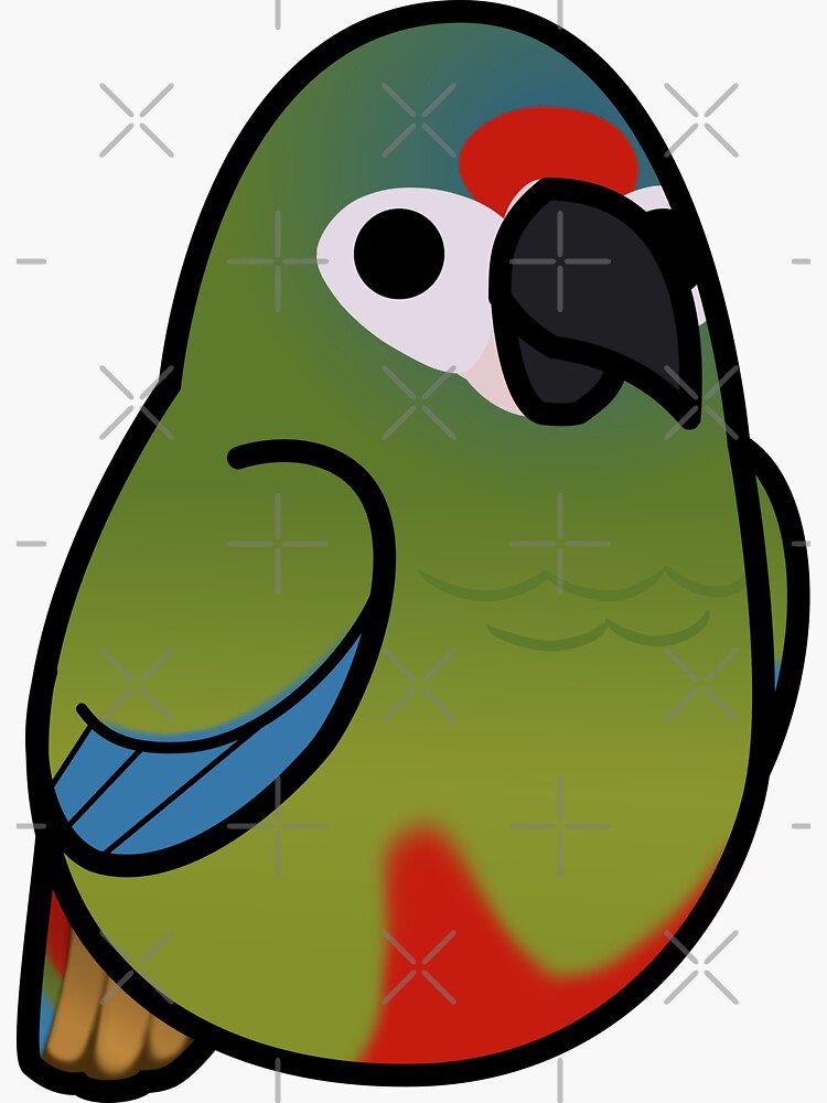 Pegatina for Sale con la obra «¡Demasiadas aves! - Macaw Illigers ...