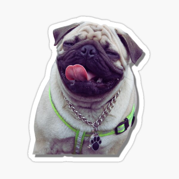 "Happy Pug Licking Lips" Sticker by DoggoCreations | Redbubble