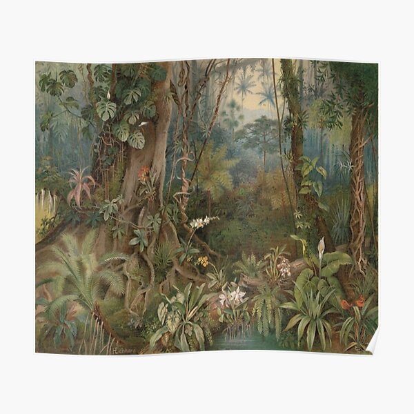 "Plants Of The Rainforest" Poster for Sale by nitty73 | Redbubble