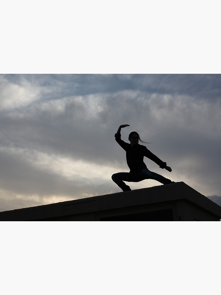 "Traditional Wushu Kung Fu" Sticker for Sale by Jairoguarin | Redbubble