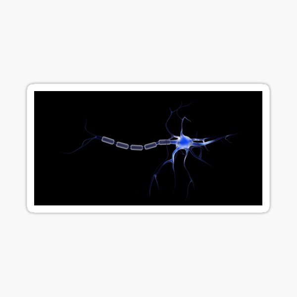 "Conceptual image of a neuron." Sticker for Sale by StocktrekImages ...