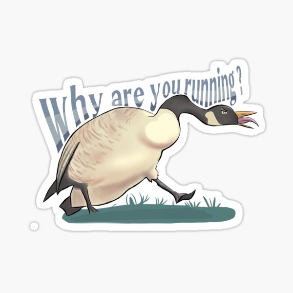 "why are you running ? canada goose" Sticker by mycue-te-leaves | Redbubble
