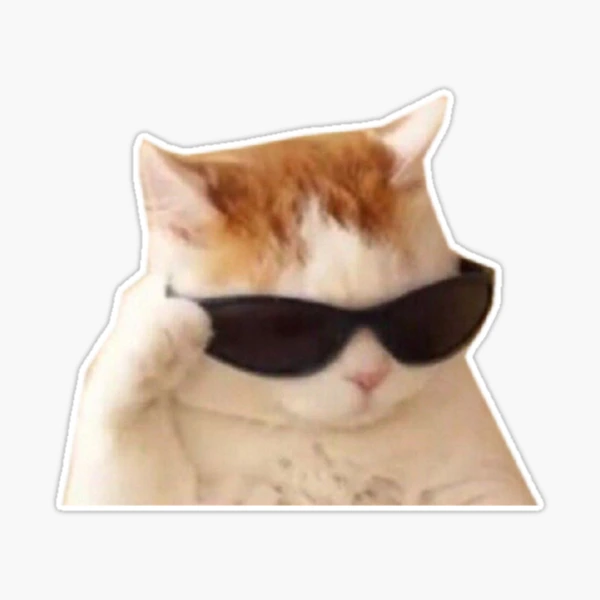 Memes Cool Cat