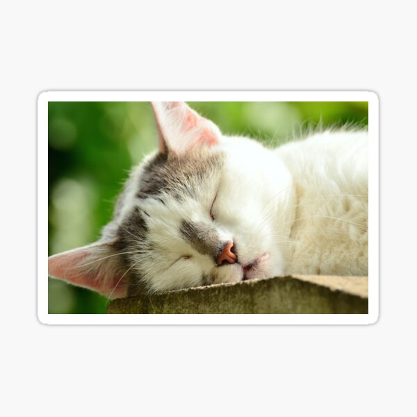 "Sleepy cat" Sticker by HarDzen | Redbubble
