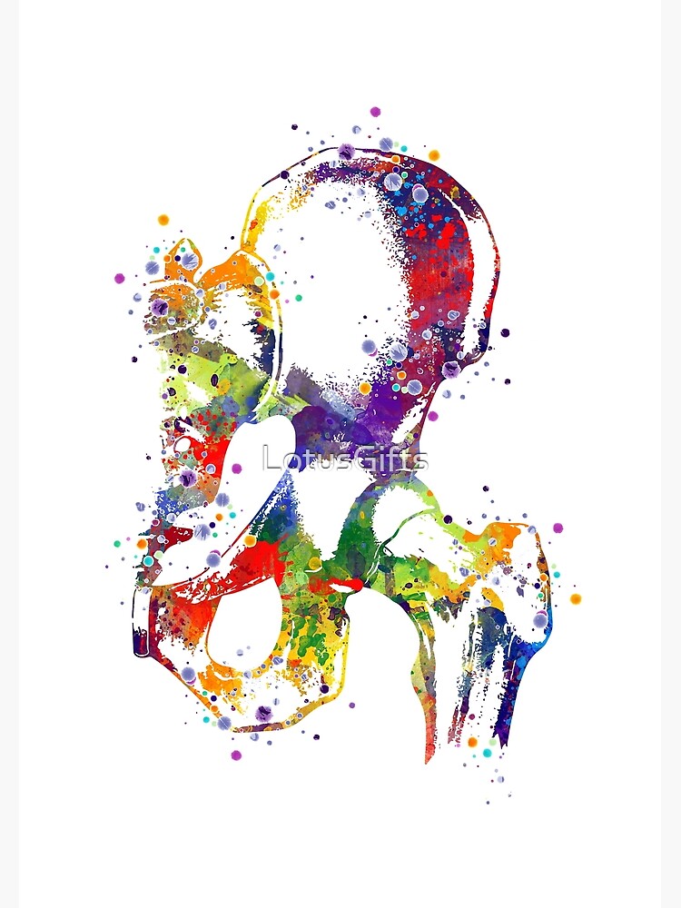 "Hip Joint Anatomy Colorful Watercolor" Photographic Print for Sale by ...