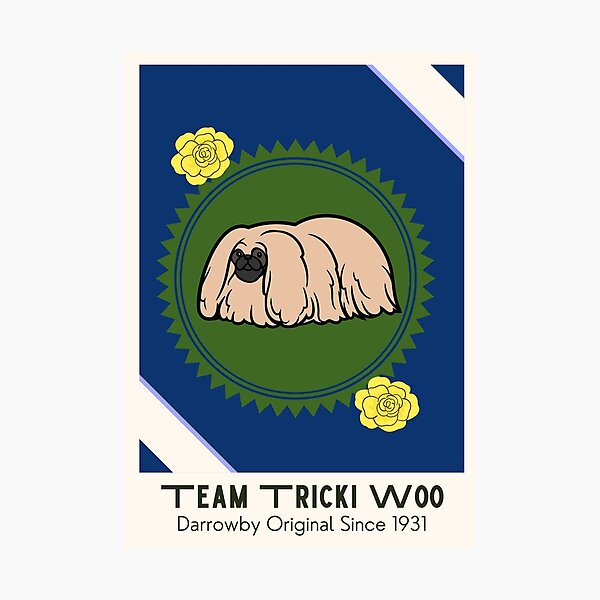 "Tricki Woo All Creatures Great and Small Tricky Dog Retro Inspired ...