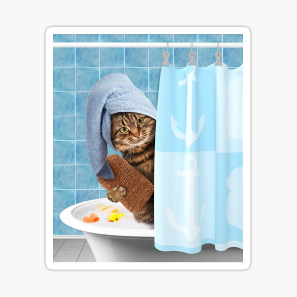 "Funny kitty cat in a shower with rubber duckies, Purrfect gifts for ...