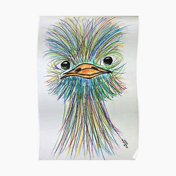 "The Rainbow Ostrich" Poster for Sale by Jules73 | Redbubble