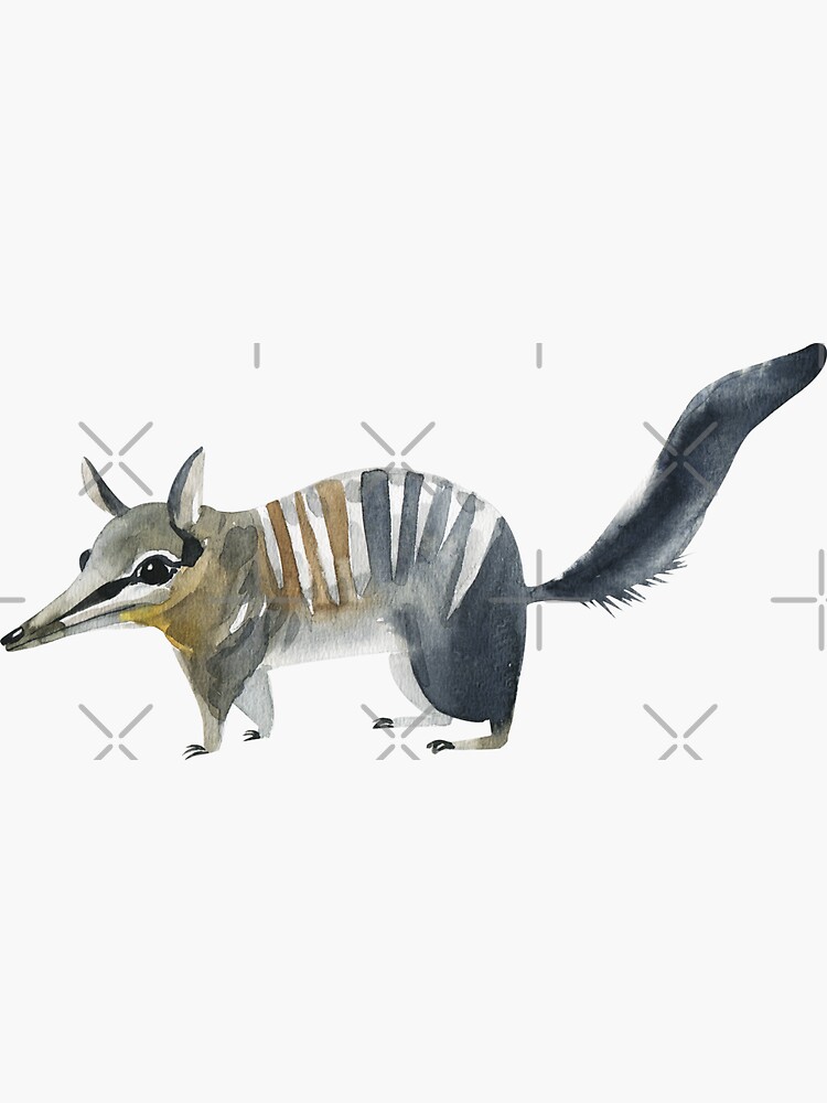 "Cute Numbat Watercolor, Best Gift Idea For Numbat Dad, Numbat Art ...