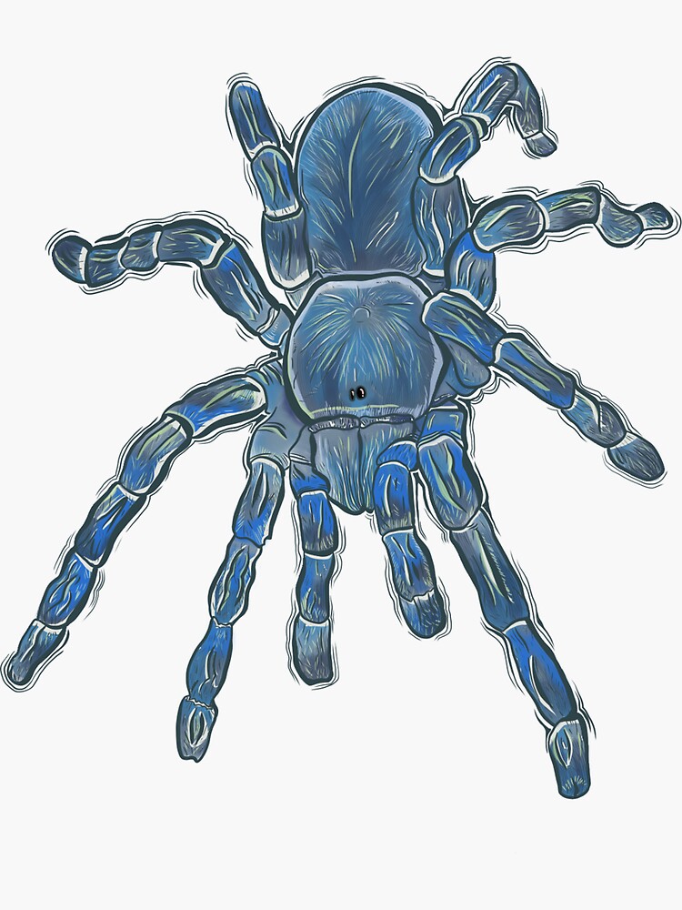 "handsome spider " Sticker by DragonFruitFrog | Redbubble